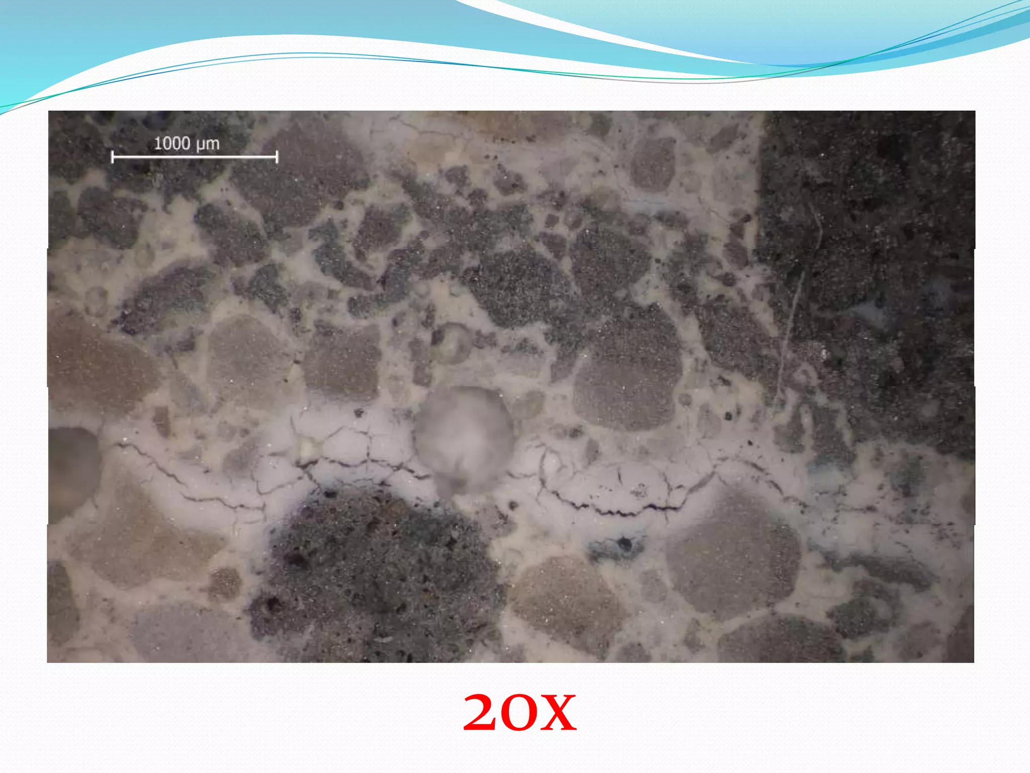Self healing bacterial concrete | PPTX
