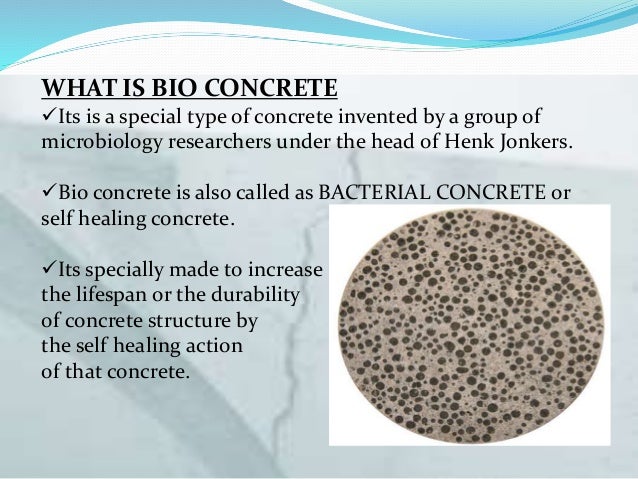 Self healing bacterial concrete