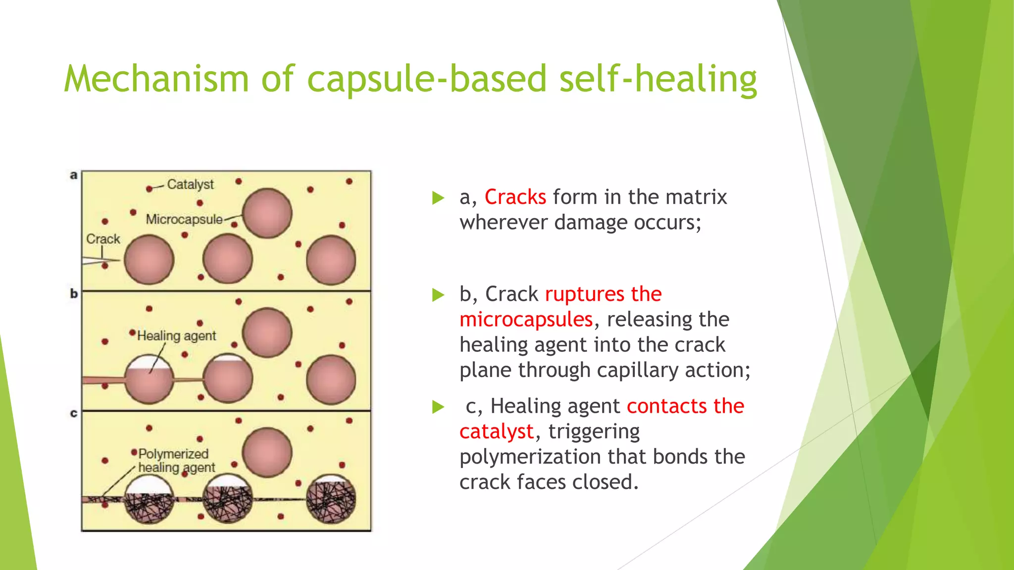 Self healing dental polymers | PPTX