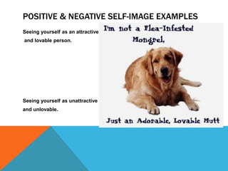 Self Image Careers 7 | PPT