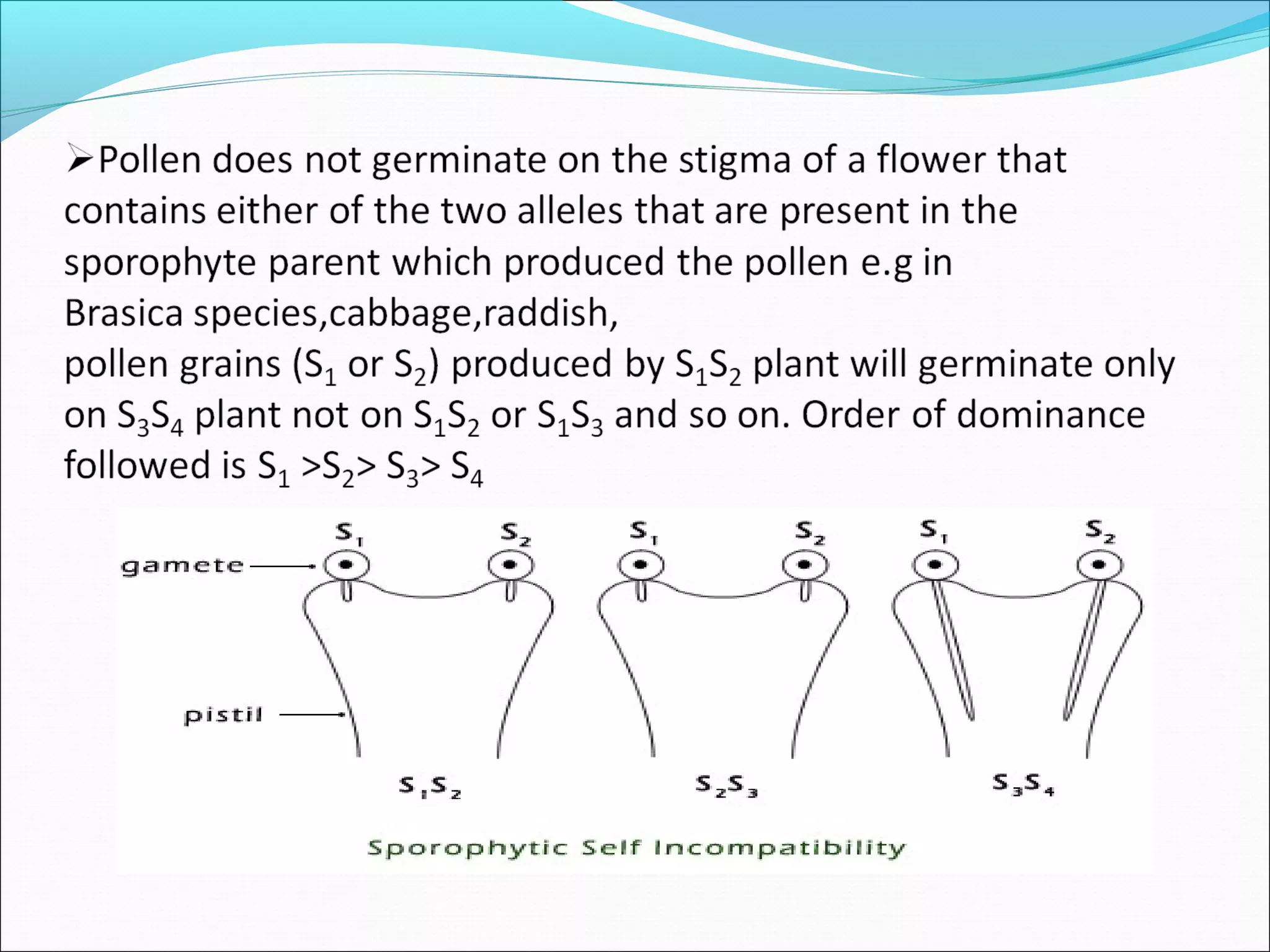 Self incompatibility in plants | PPT
