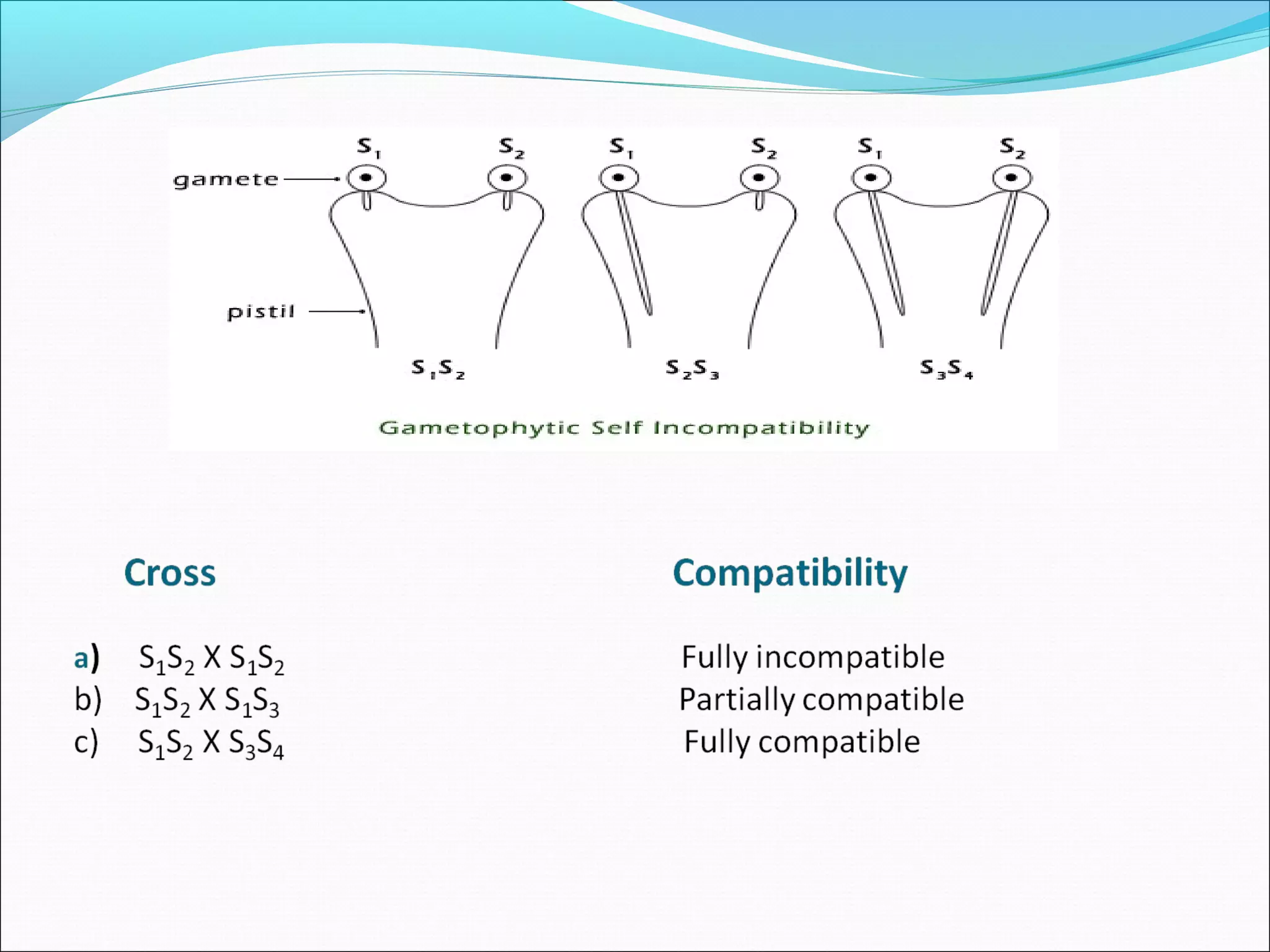 Self incompatibility in plants | PPT | Infertility | Reproductive Health