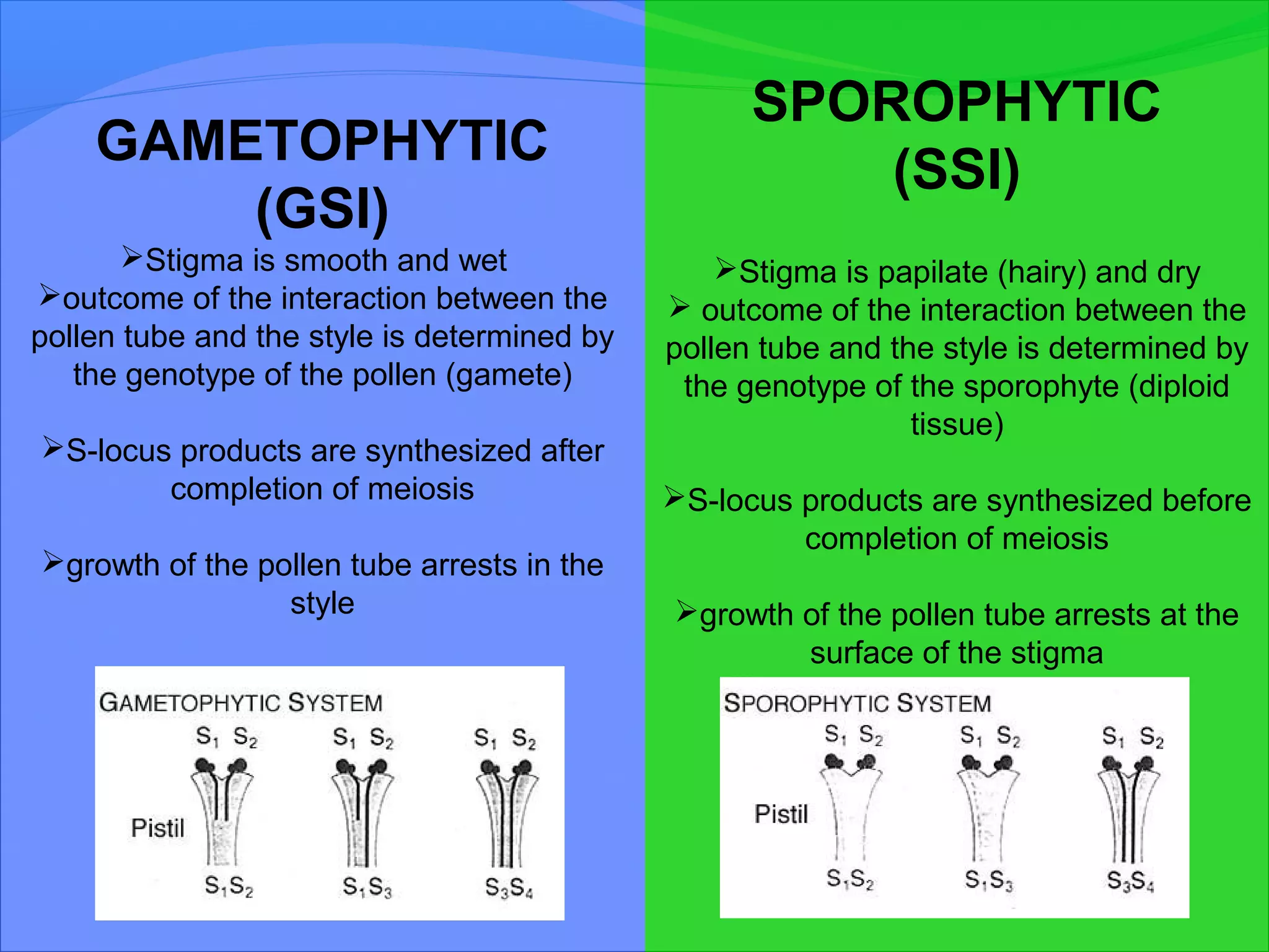 Self incompatibility in plants | PPT
