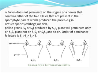Self incompatibility in plants | PPT | Infertility | Reproductive Health