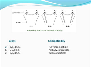 Self incompatibility in plants | PPT | Infertility | Reproductive Health