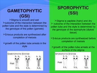 Self incompatibility in plants | PPT | Infertility | Reproductive Health
