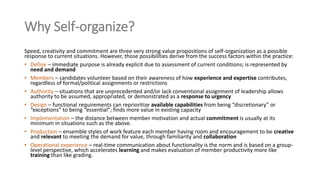 Self Organization Decoded | PPT