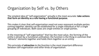 Self-Organization Demystified | PDF