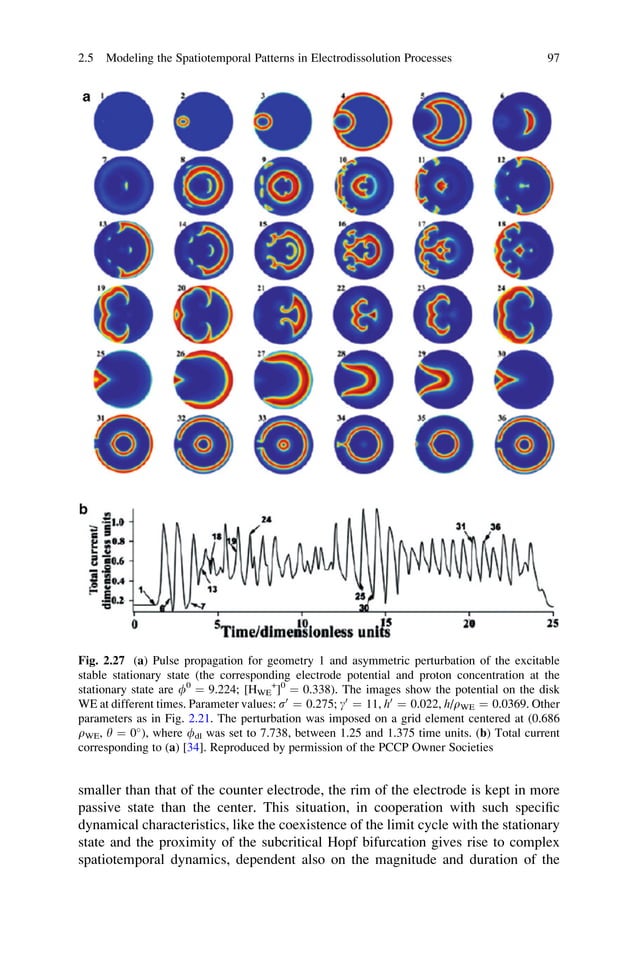 Self organization in electrochemical systems ii | PDF