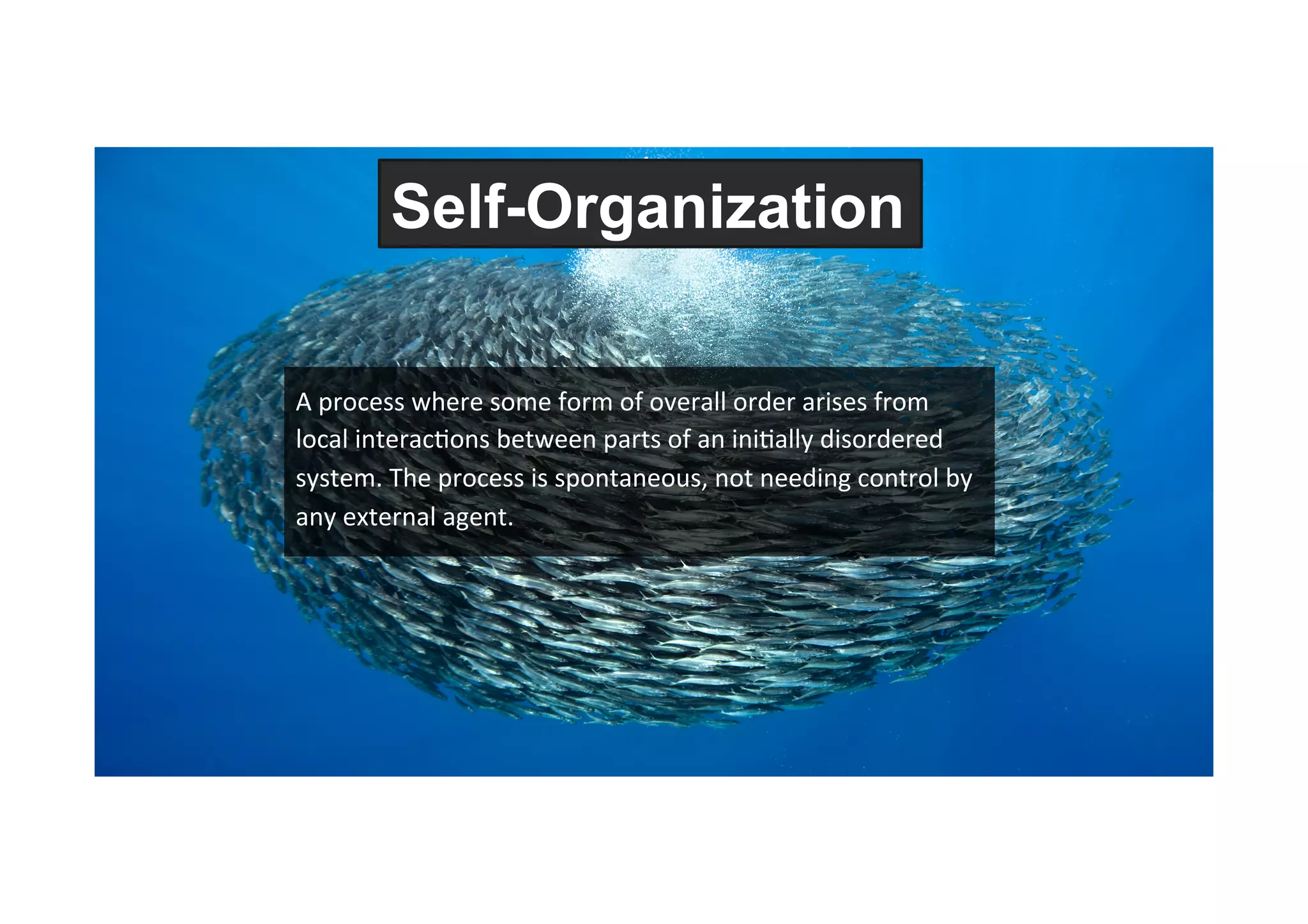 Self organization @ scale | PPT