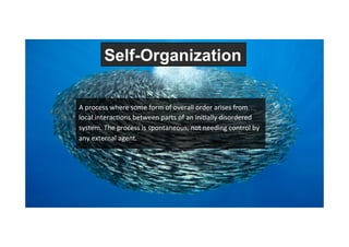 Self organization @ scale | PPT