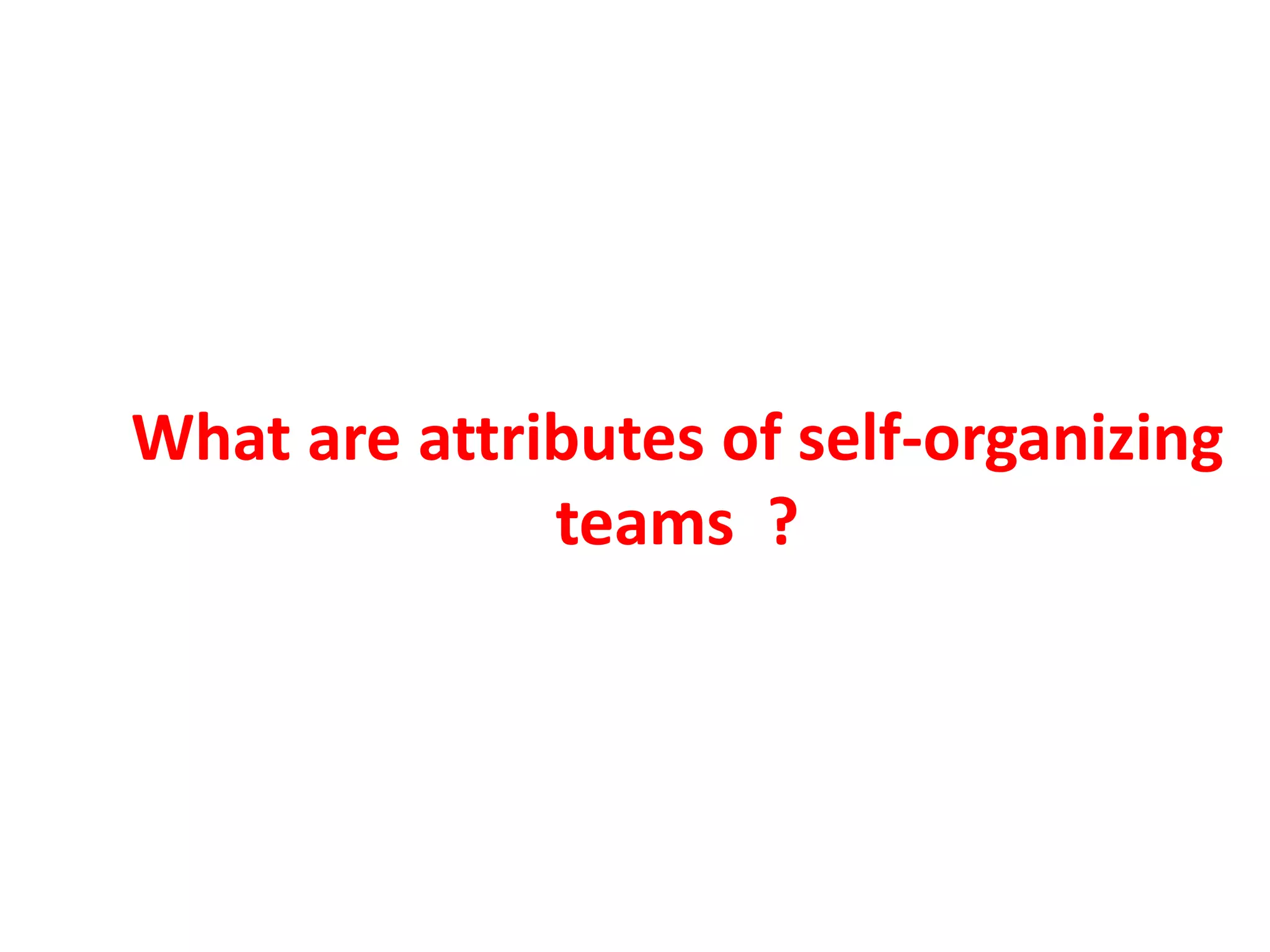 Self organizing teams- | PPTX