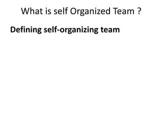 Self organizing teams- | PPTX
