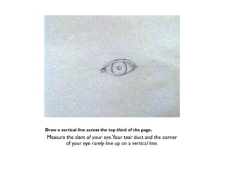 Self portrait-eye structure | PPT