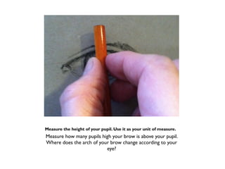 Self portrait-eye structure | PPT