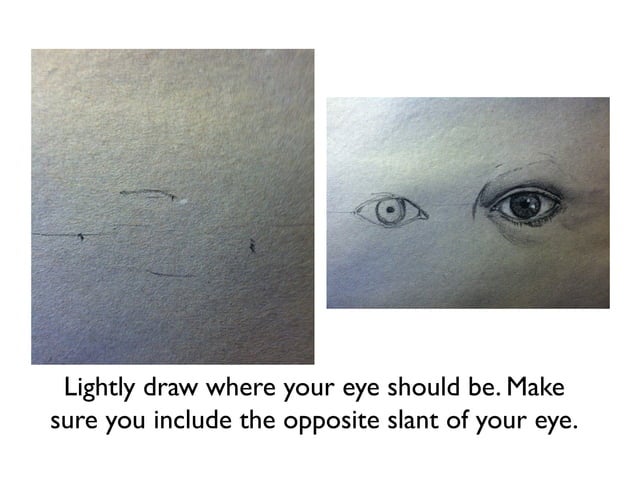 Self portrait-eye structure | PPT