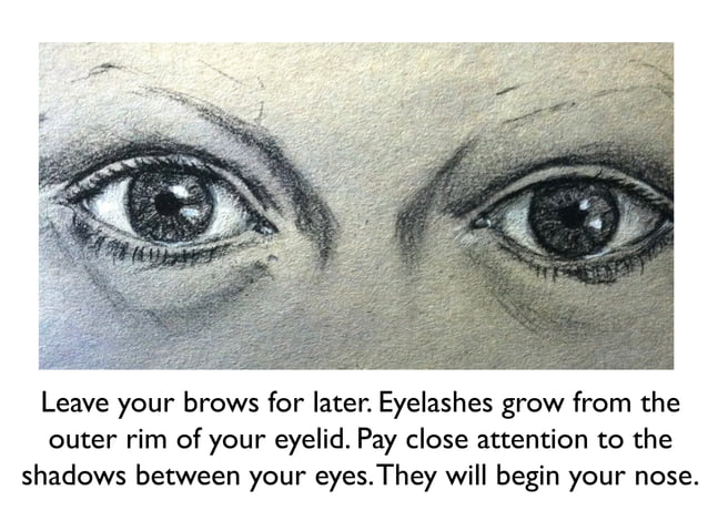 Self portrait-eye structure | PPT