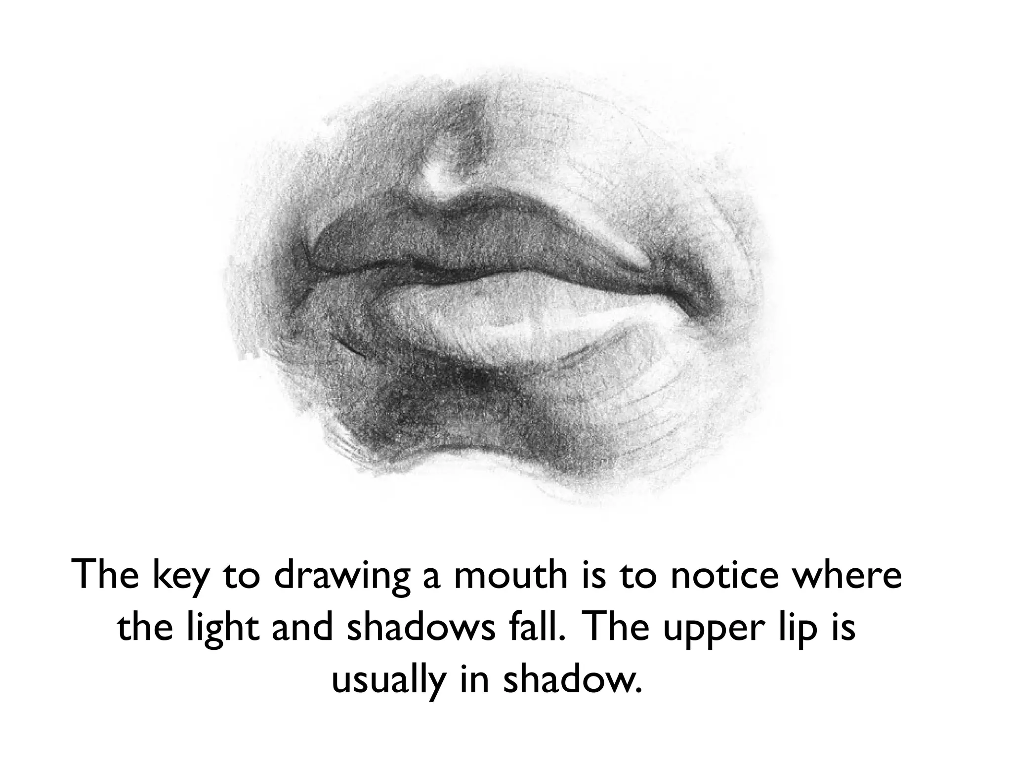 Self portrait-mouth structure | PPT