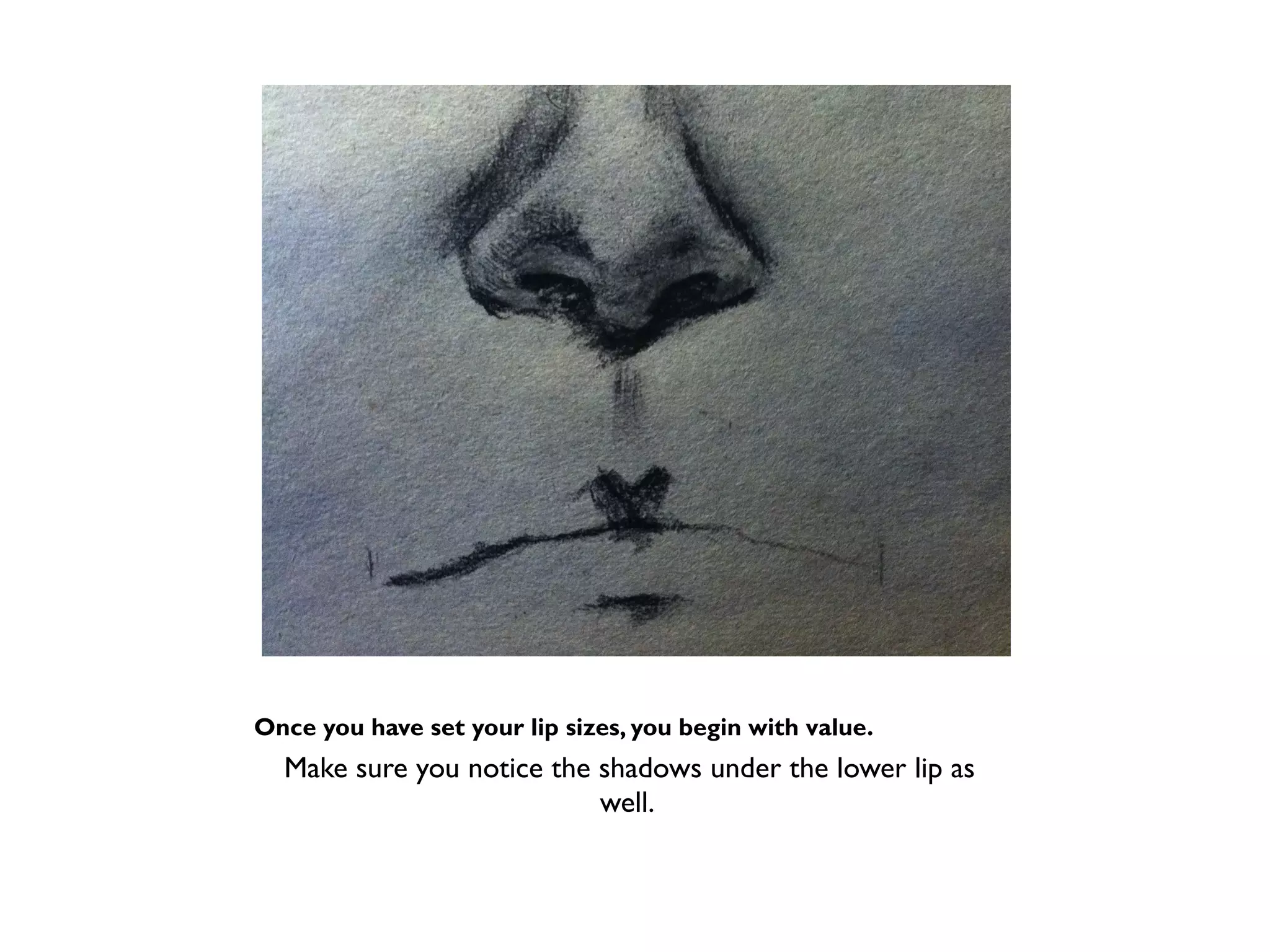 Self portrait-mouth structure | PPT