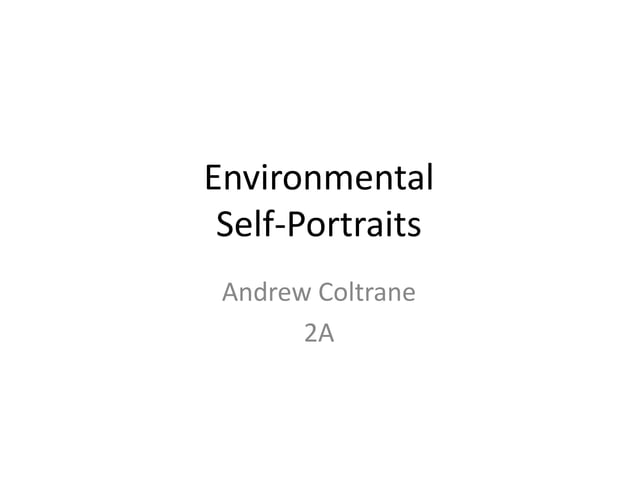 Self portraits | PPT