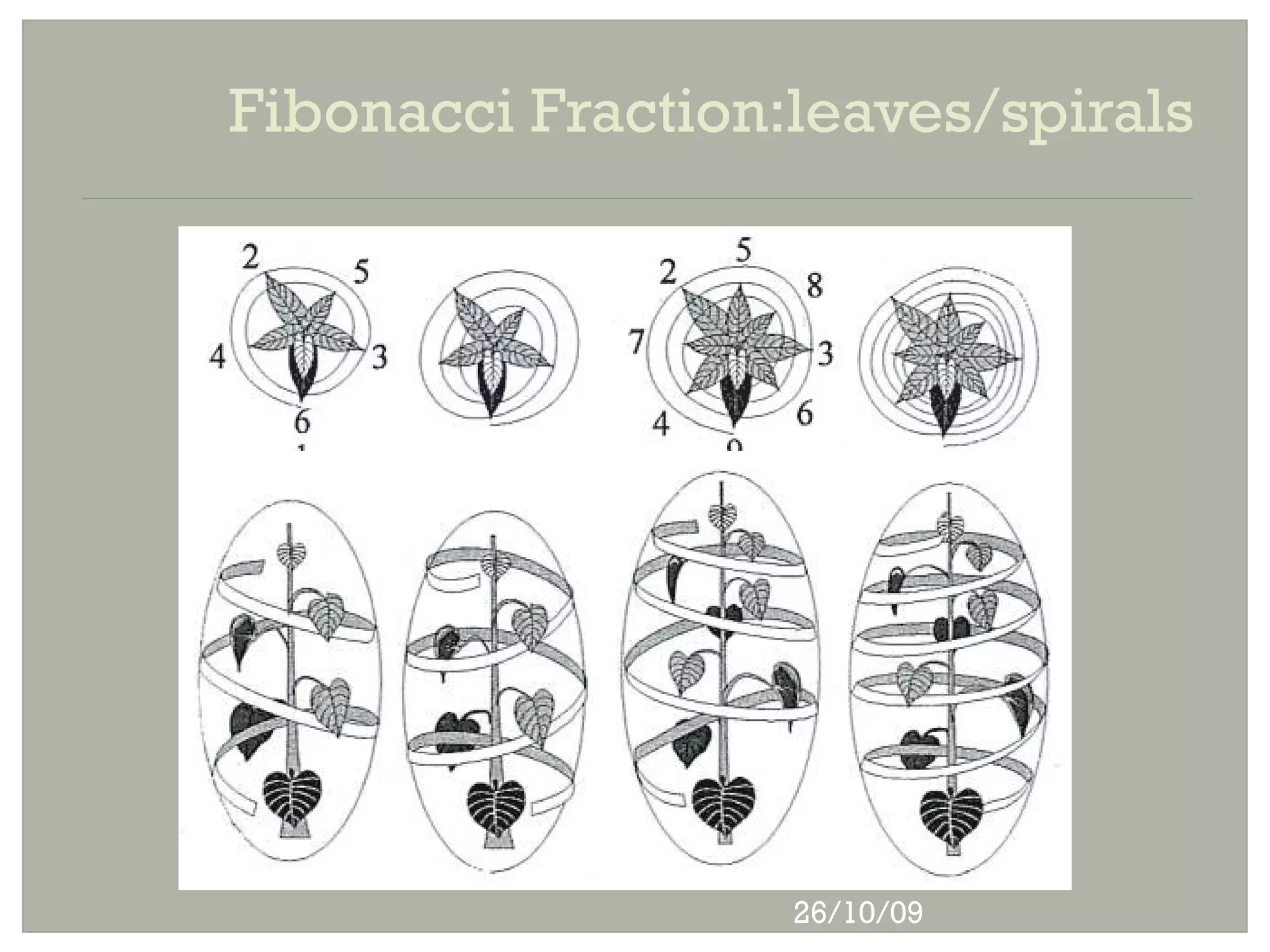 Self Reproducing Machines | PDF | Chemistry | Science