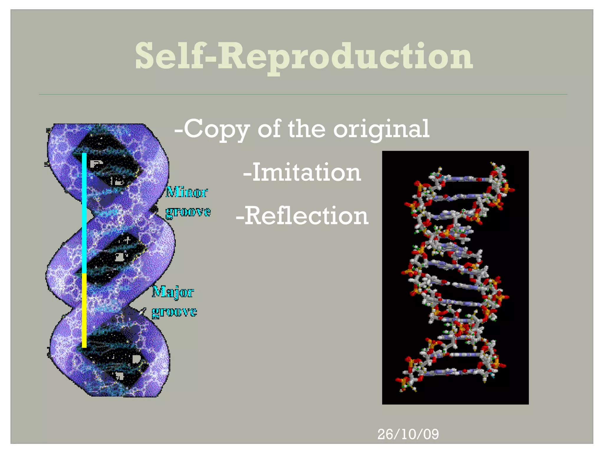Self Reproducing Machines | PDF | Chemistry | Science