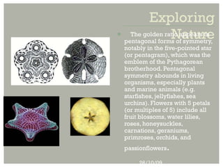 Self Reproducing Machines | PDF | Chemistry | Science