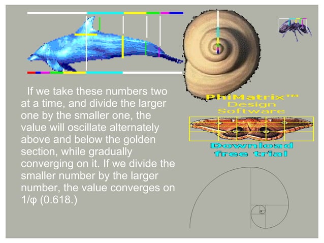 Self Reproducing Machines | PDF | Chemistry | Science