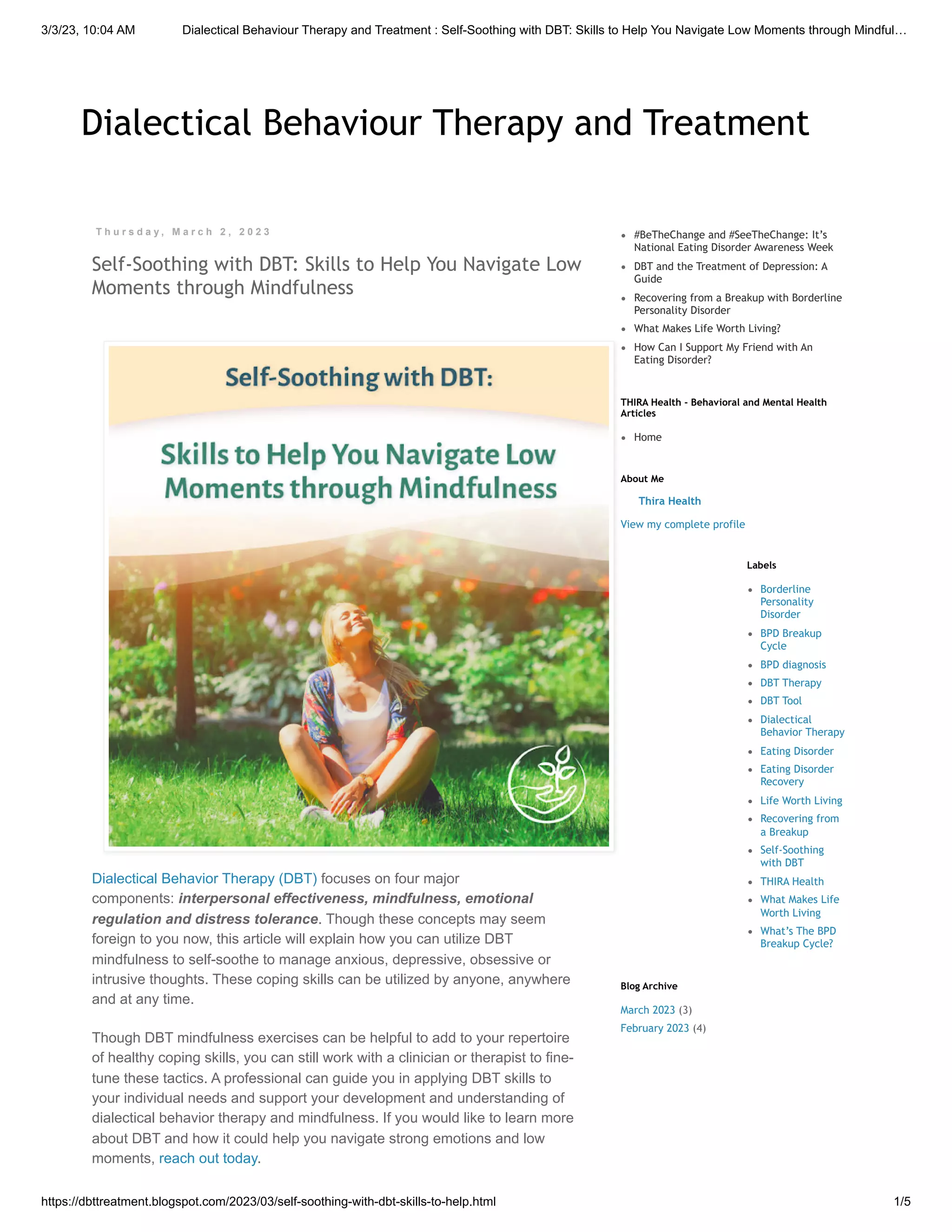 Self-Soothing with DBT_ Skills to Help You Navigate Low Moments through ...