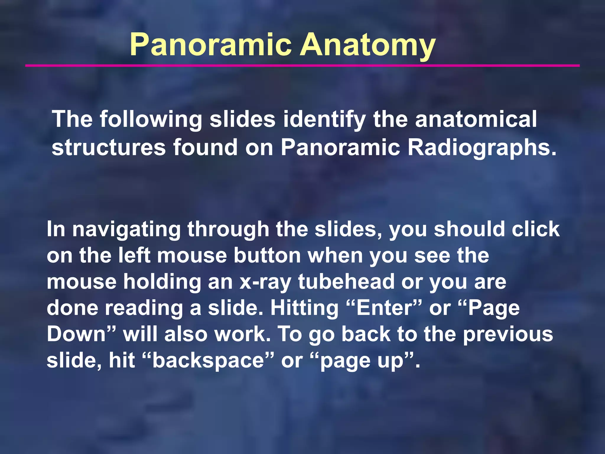 Self study-pan-anatomy | PPTX