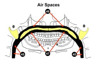 Self study-pan-anatomy | PPTX
