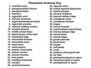 Self study-pan-anatomy | PPTX