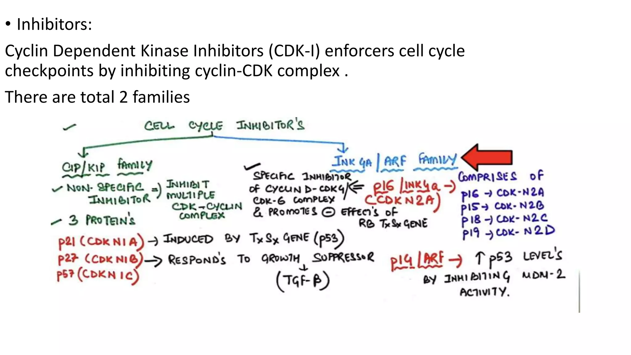 Self- Sufficiency in growth signals Cancer..pptx