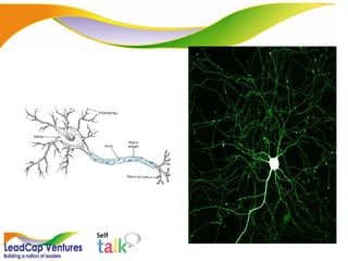 Self Talk, power of brain, leadership take away, what is self talk, NLP ...