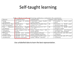 Self Taught Learning | PPT