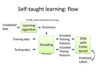 Self Taught Learning | PPT