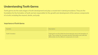 odontoplasty and transplantation of tooth germs | PPTX