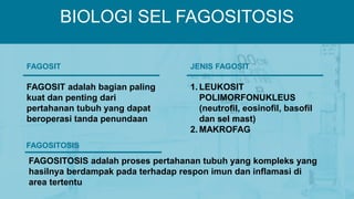 SEL FAGOSIT.pptx