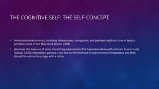 Self and self awareness | PPTX