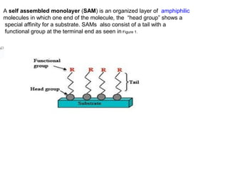 Self assembled nanostructures | PPT