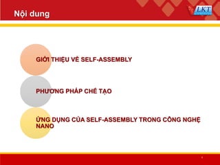 Self Assembly | PDF