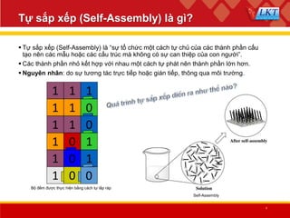 Self Assembly | PDF