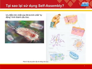 Self Assembly | PDF