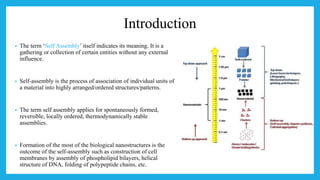 Self assembly.pptx | Chemistry | Science