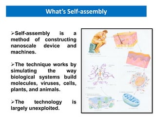 Self assembly in photovoltaic devices | PDF