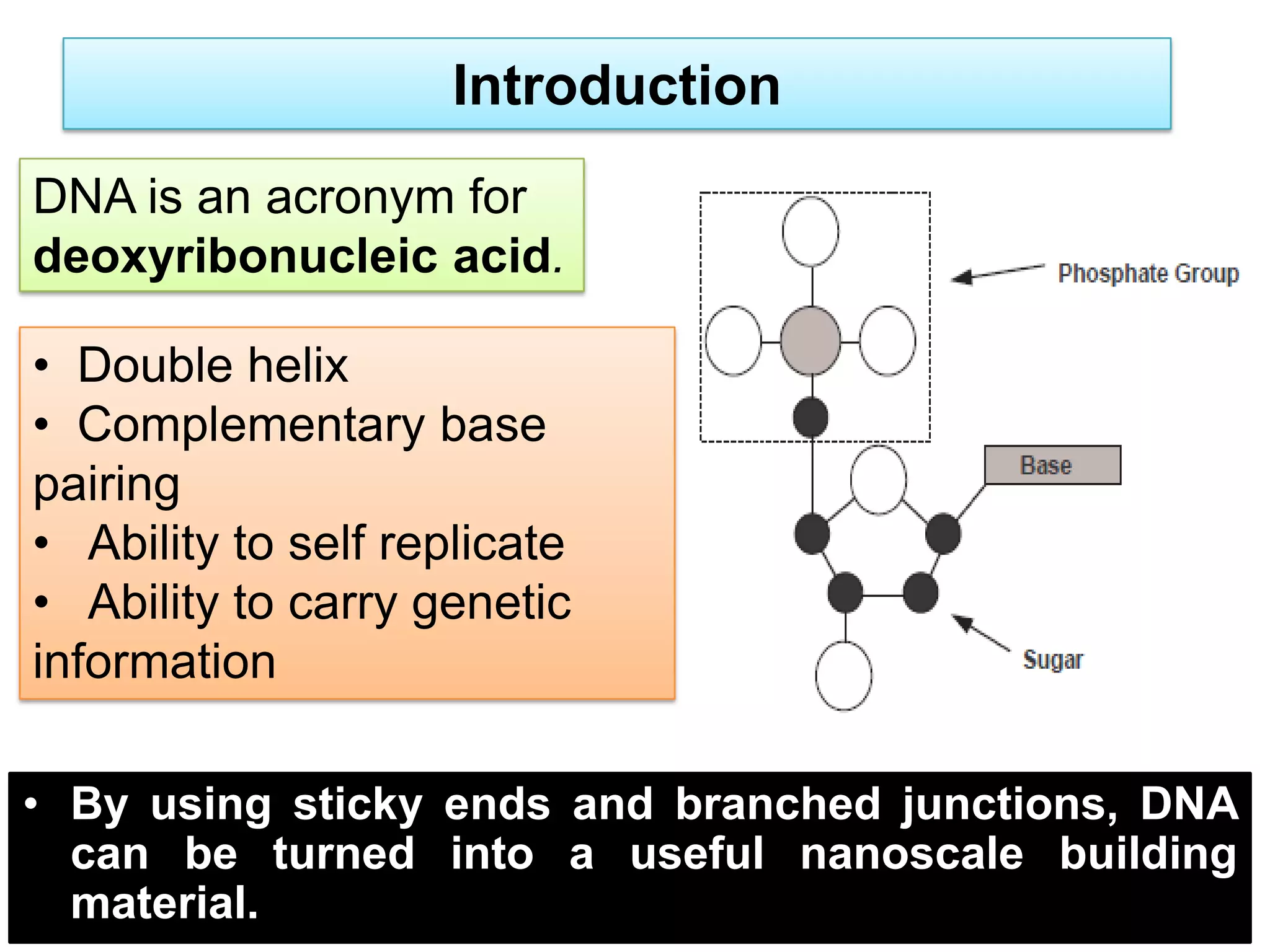 Self assembly of dna | PPTX