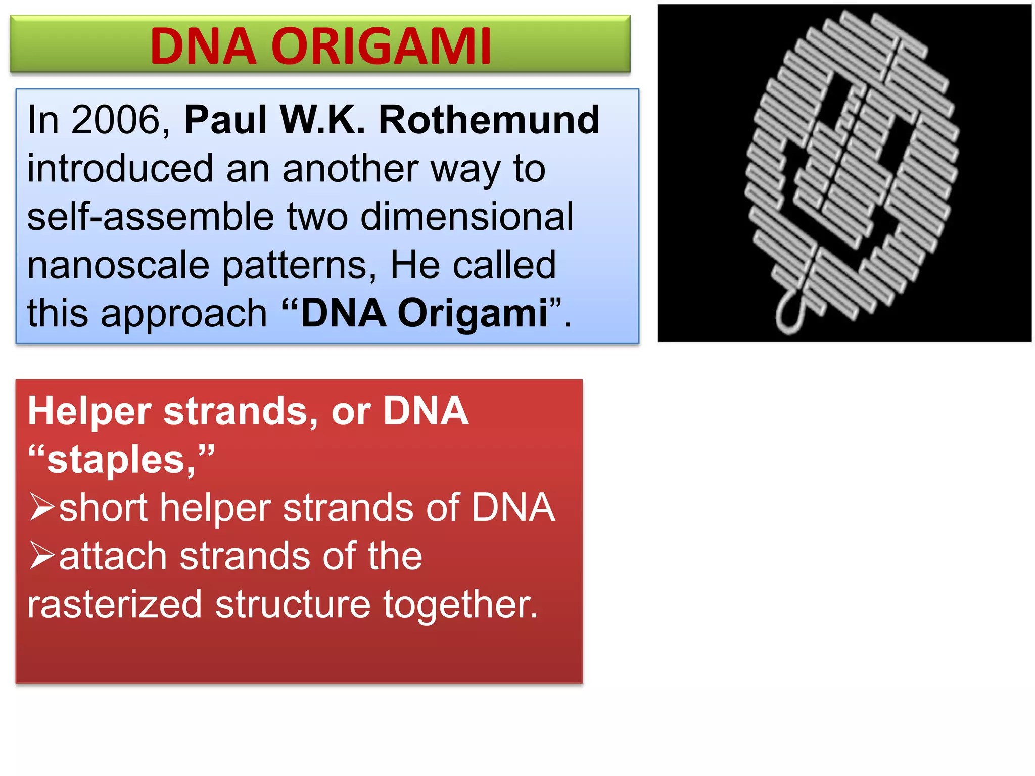Self assembly of dna | PPTX