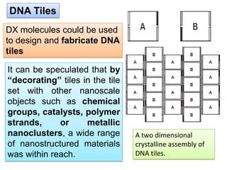 Self assembly of dna | PPTX