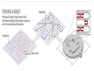 Self assembly of dna | PPTX