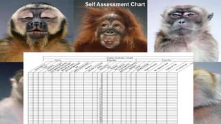 Self‐Assessment.pptx